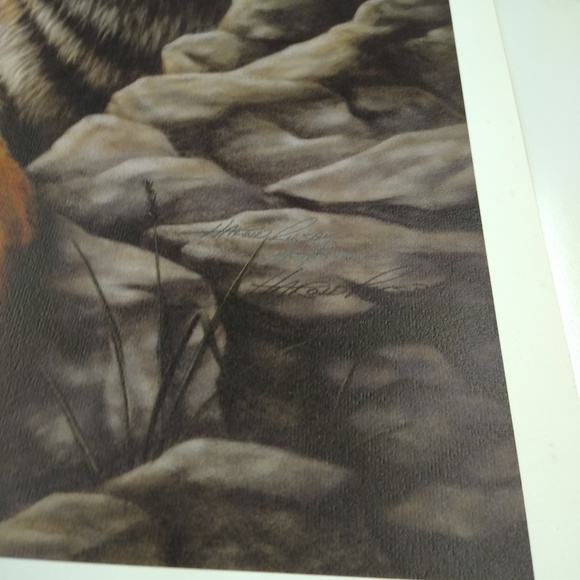 Harold Rigsby | Wall Decor | Bengal Tiger Vi By Harold Rigsby Artist ...